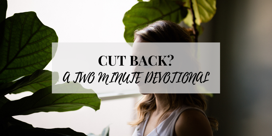 Cut Back - Monica Ritchie